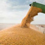 AgState • Helping Producers Prosper
