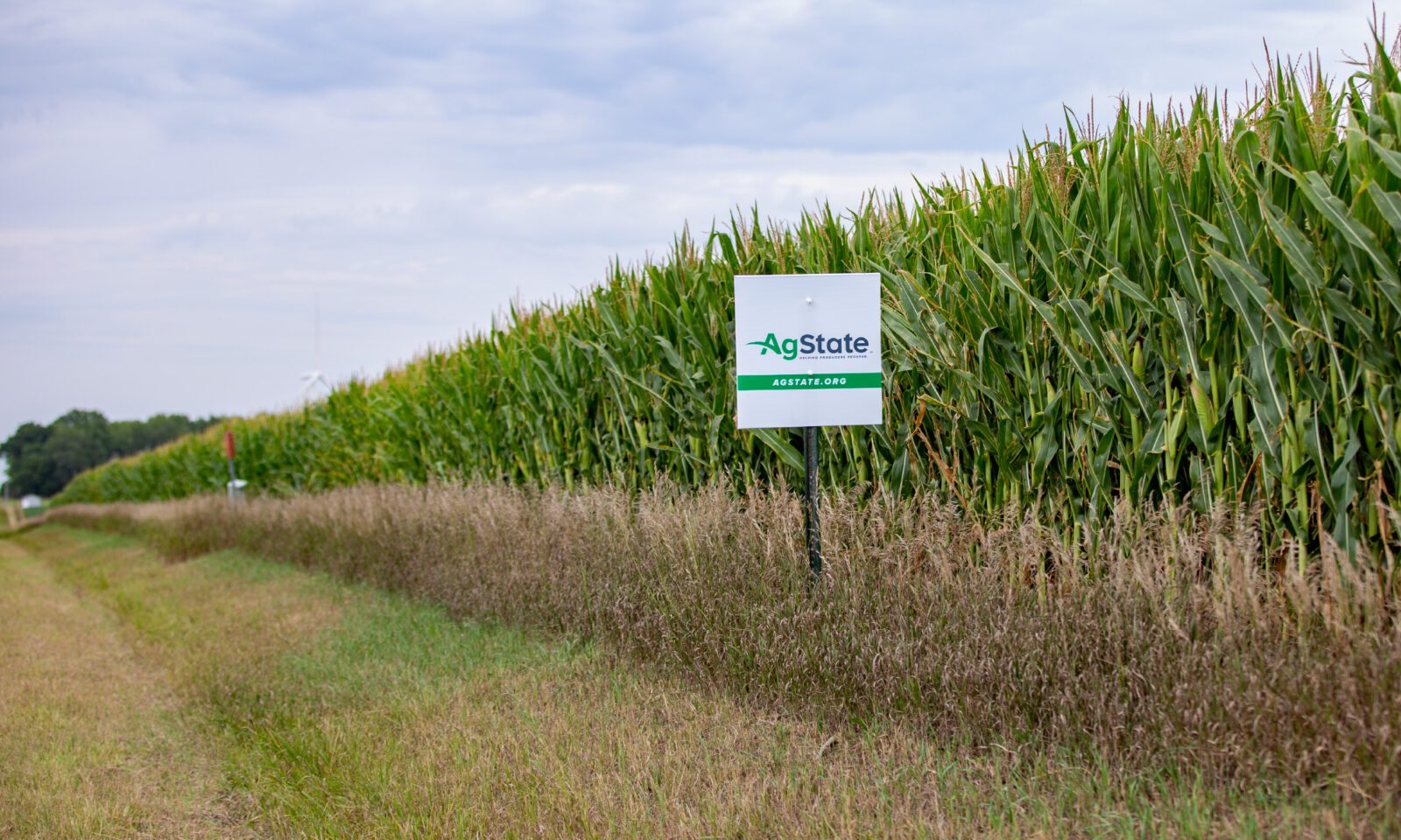 Agronomy • AgState